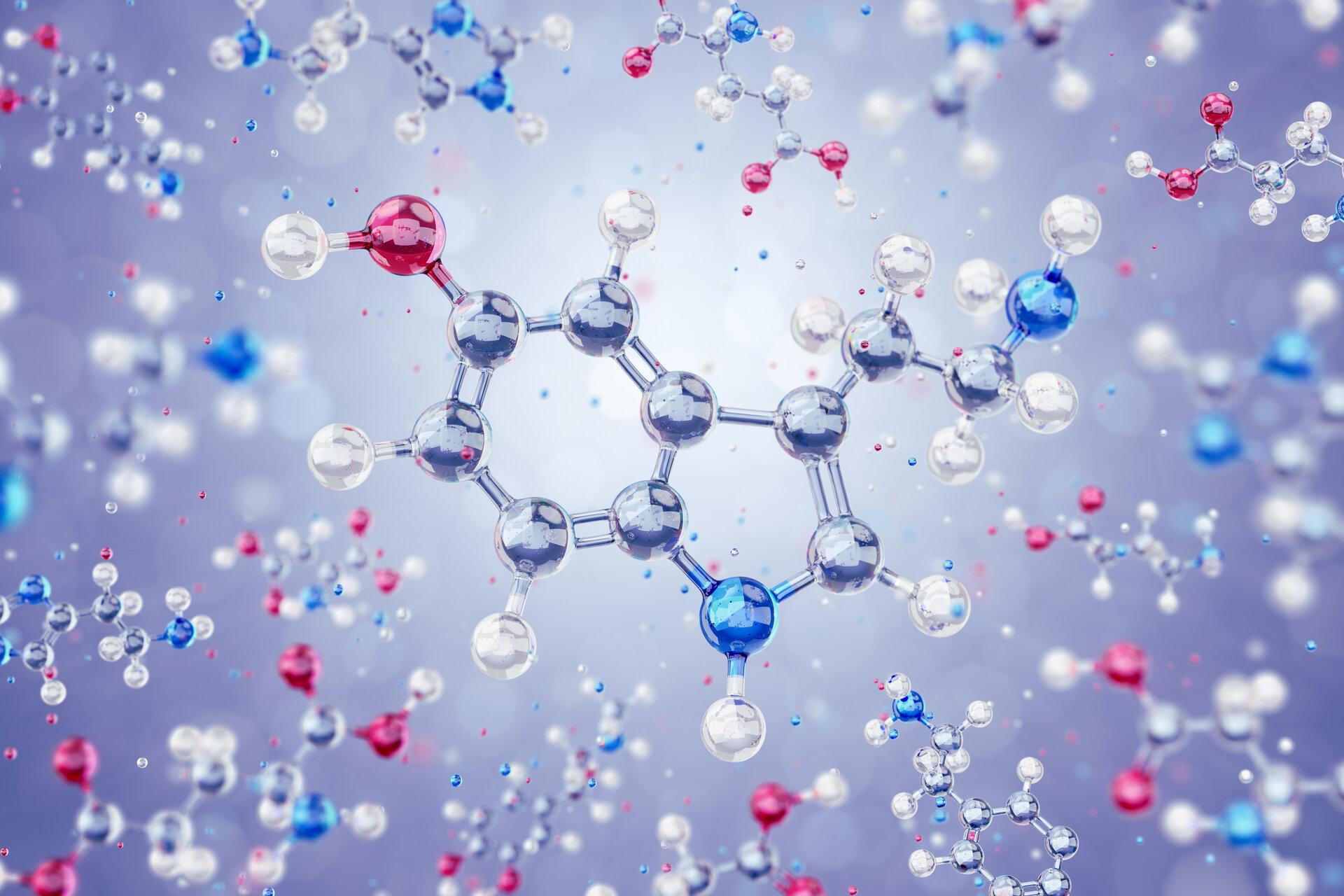 Die Bedeutung von Hormonen für den Menschen - Business Area